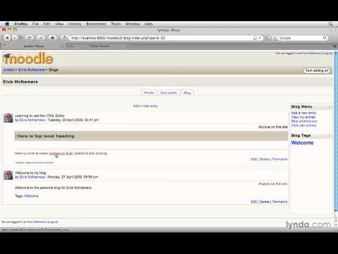 0301 Using the HTML editor.mov