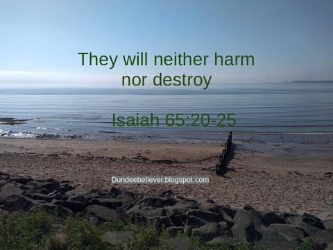 Isaiah 65:20-25 They will neither harm nor destroy on my holy mountain