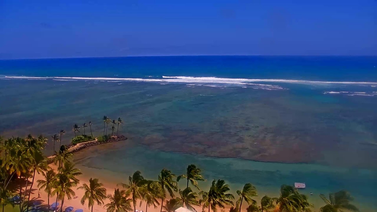 Kahala Resort Beach & Reef View - Live Webcam | GeoWebcams