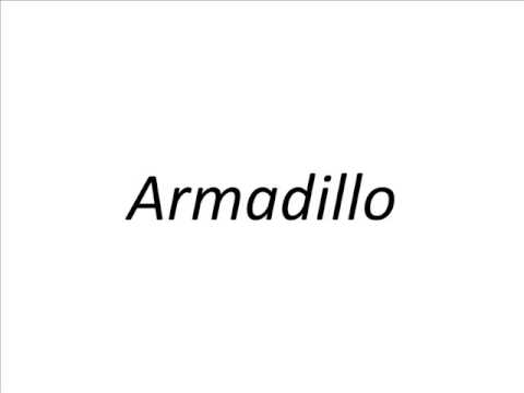 How to Pronounce Armadillo