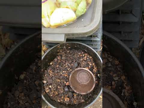 A New Day - Addition #1 to our Earth Machine Composter (special Jim and Irene episode)