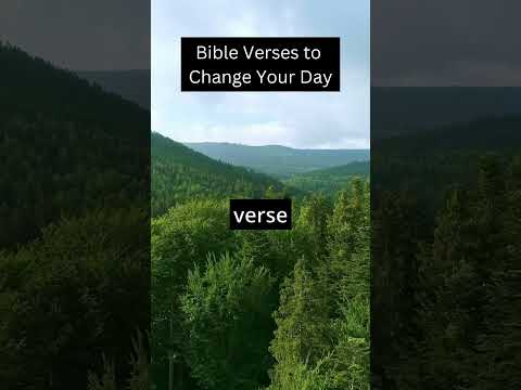 Bible Verse about Gratitude to make your dayâśž