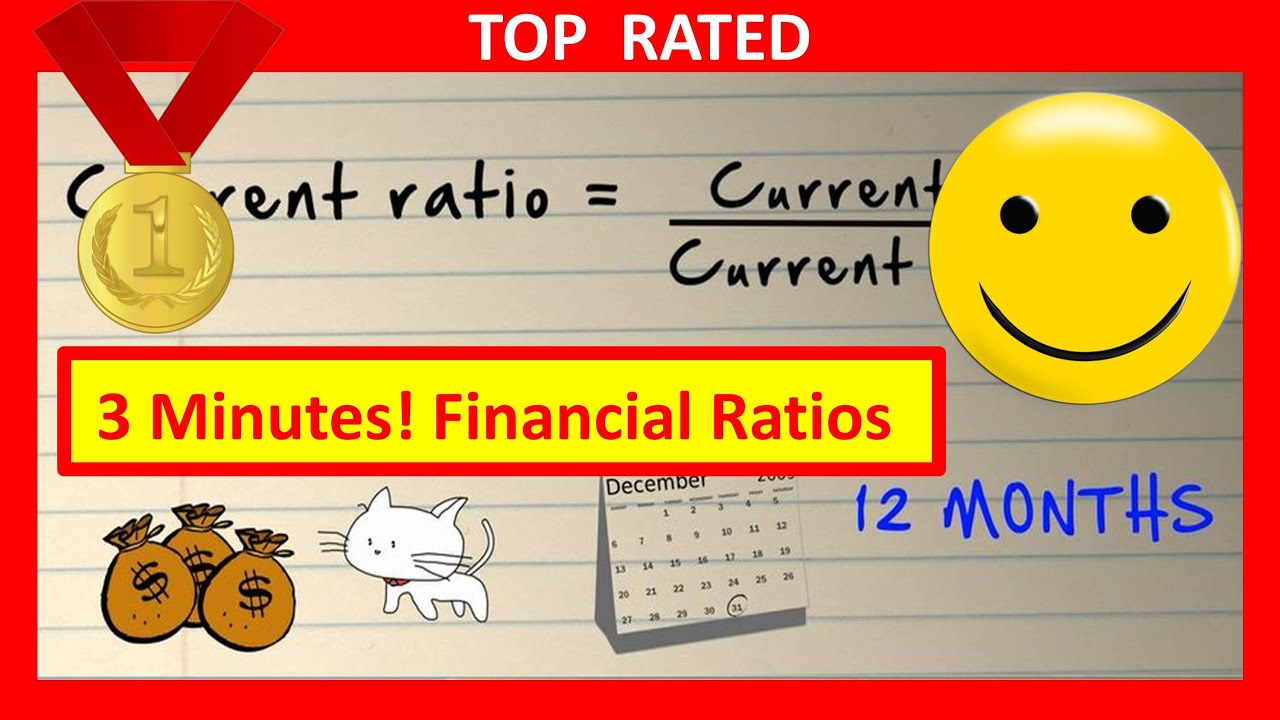 🔴  3 Minutes! Financial Ratios & Financial Ratio Analysis Explained & Financial Statement Analysis