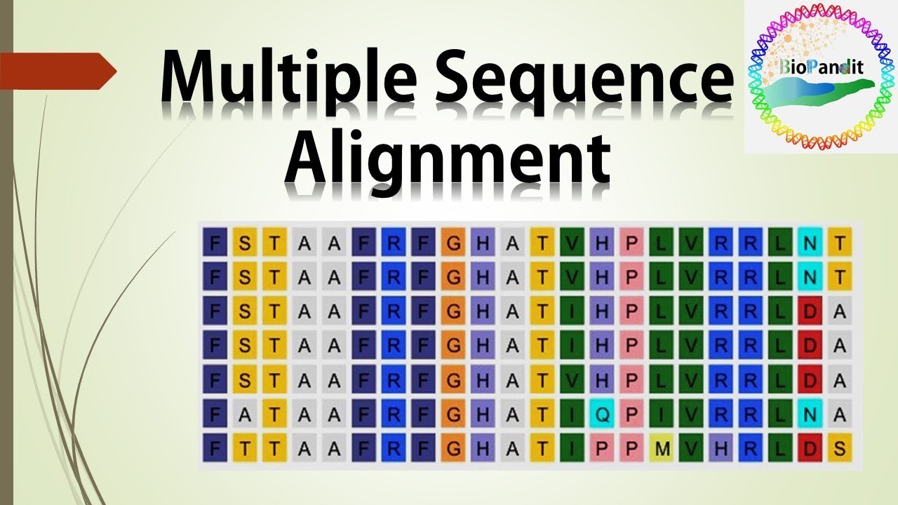 Multiple Sequence Alignment