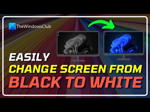 How to Change Screen From BLACK TO WHITE on Windows 11? [COMPLETE GUIDE]