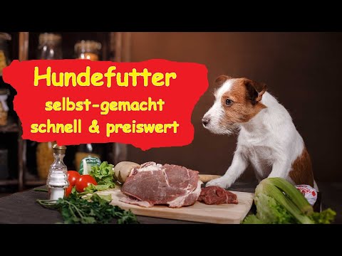 Hunde - Futter selbst kochen für 60 Cent pro Tag