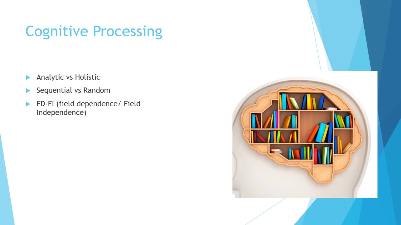 Lesson Plan Guide based on Cognitive Learning Styles