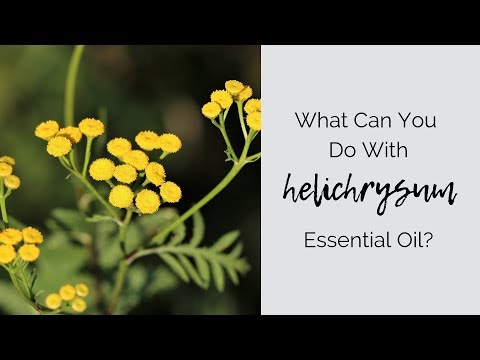 Helichrysum Essential Oil: Top Ways To Use Helichrysum Essential Oil