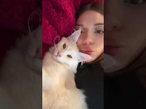 My cat is not a paid actor