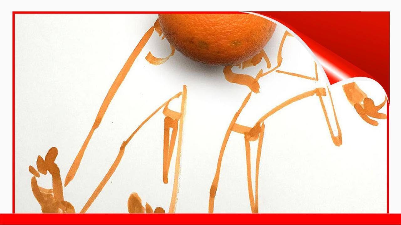 20 Creative Drawings Completed Using Everyday Objects By Christoph Niemann ☺️