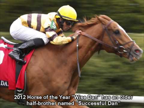 Racing Term #141 "Half-Brother or Half-Sister" of Frankie Lovato's 365 Days of Terminology