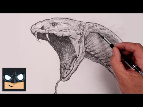 How To Draw a Cobra | Sketch Tutorial