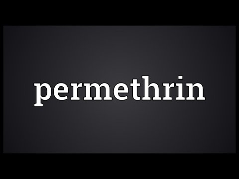 Permethrin Meaning