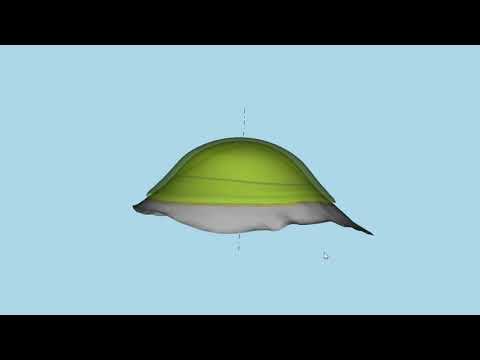 3D Digital Scleral Lens Created with ScanFitPRO + Eaglet 3-D Eye Surface Profiler