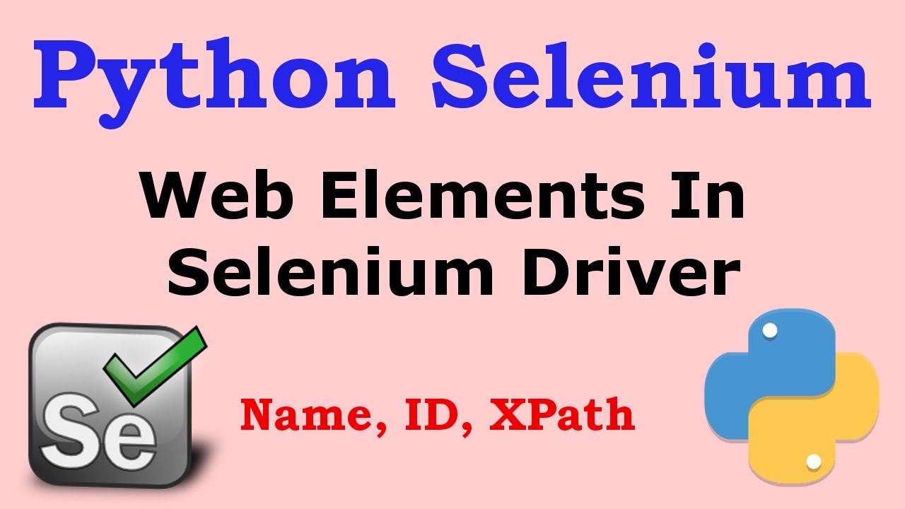How to Use Web Elements in Python Selenium Web Driver