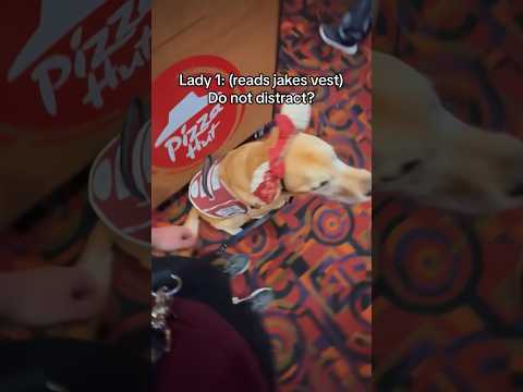 Emotional support dogs are different then service dogs. #servicedog #esa #dog #shorts #fyp #youtube