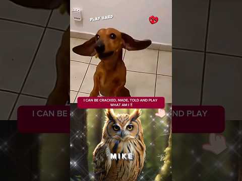 Work hard play hard #meme #funny #funnyvideo #memesdaily