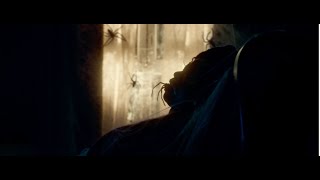 Infested streaming: where to watch movie online?