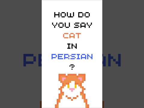 how do you say cat in persian #cat #cats #languagelearning #persian