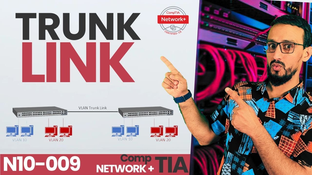 Trunk Link Explained: What It Is and How It Works?
