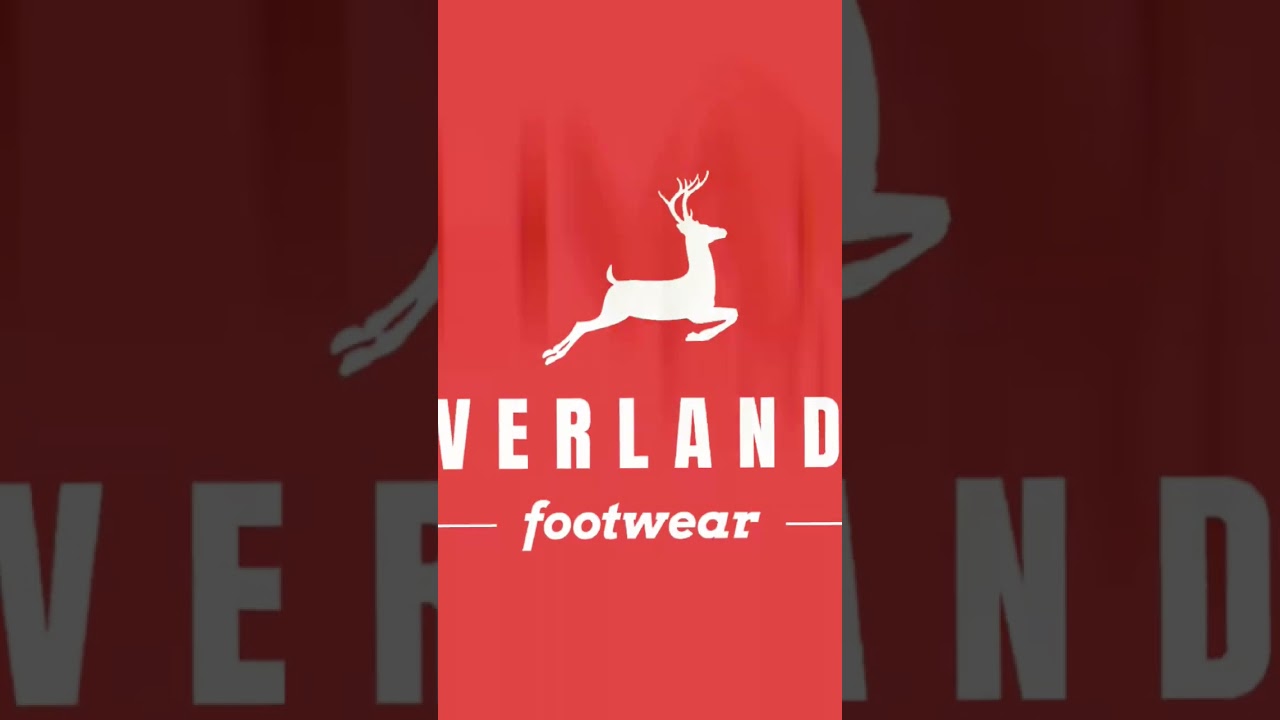 logo design #logo #vector #graphicdesign #graphicdesigntutorial #artist #logodesigner #logodesign