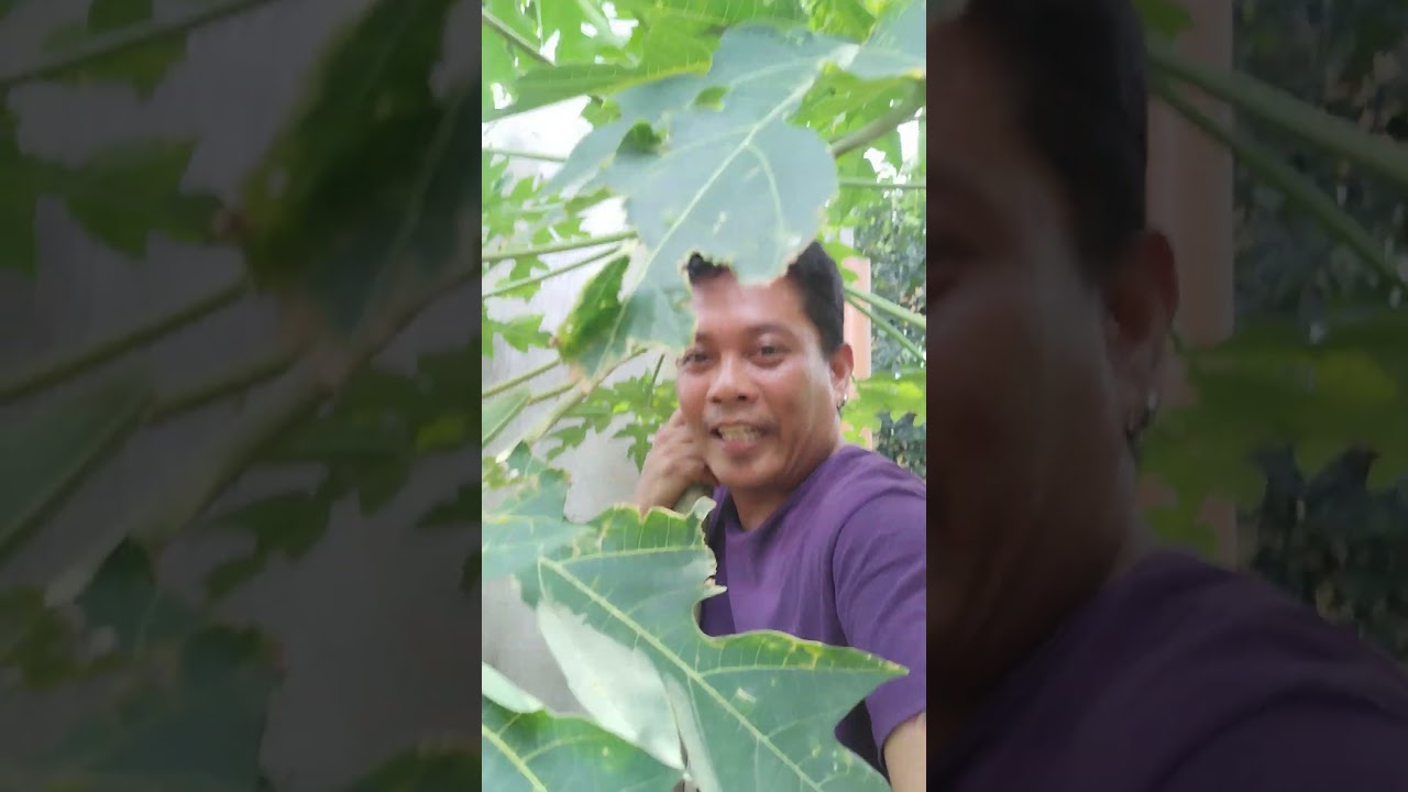 funny video #ryanvlogs