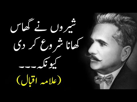 ALLAMA IQBAL Amazing Story | Urdu Persian Literature and Poetry