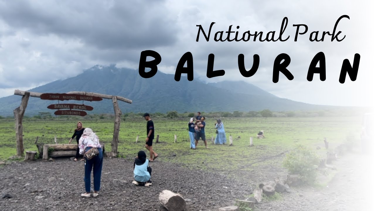 AMAZING BALURAN NATIONAL PARK - AFRICA VAN JAVA