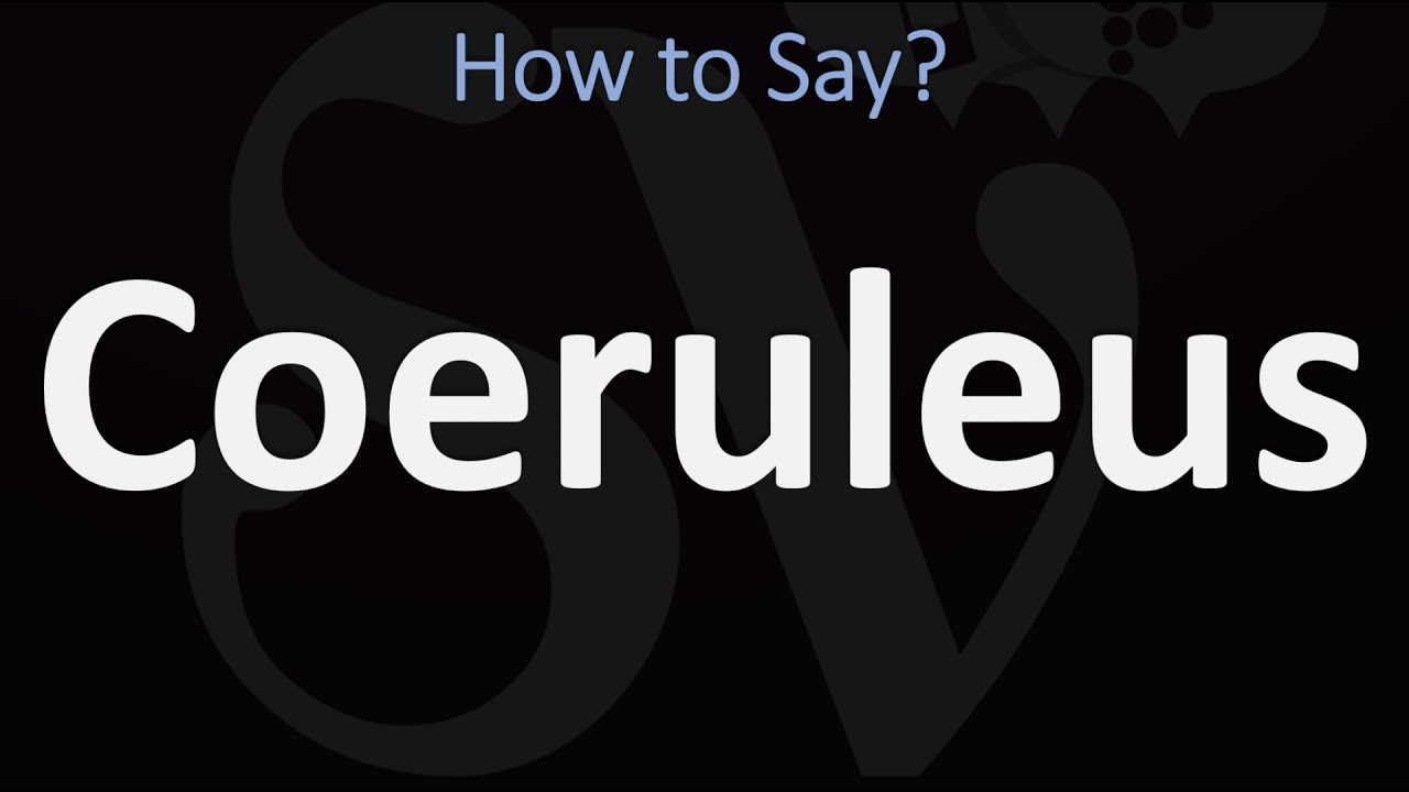 How to Pronounce Coeruleus? (CORRECTLY)