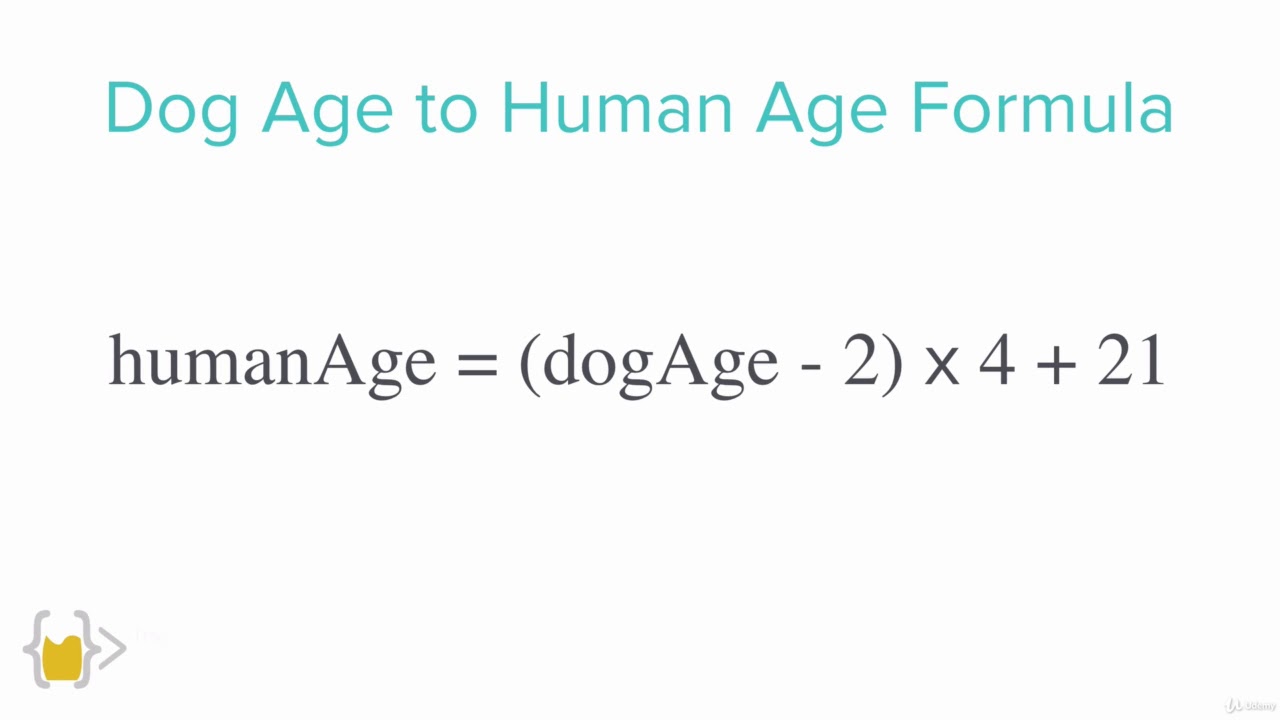 Basic Arithmetic and the Modulo Operator in Javascript