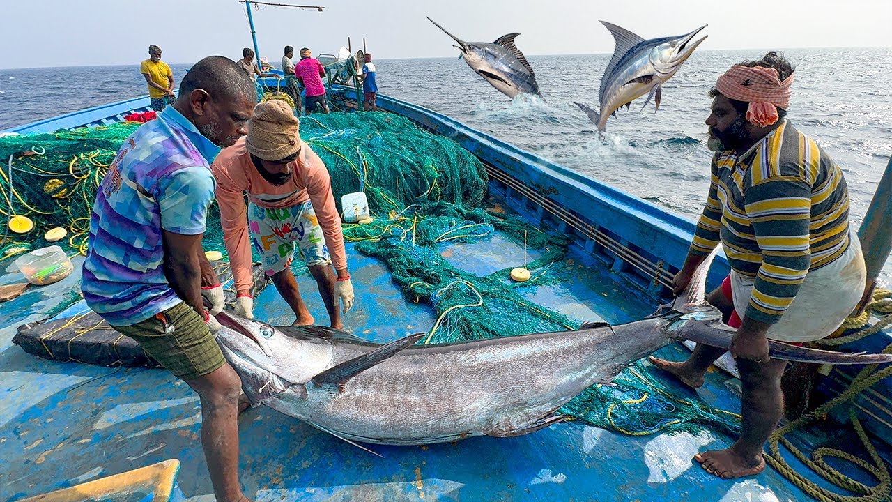 Great🤩 The Tenth Day We Stayed In The Deep Sea And Caught A Lot Of Big Fishes | Day-10 | S06-EP10