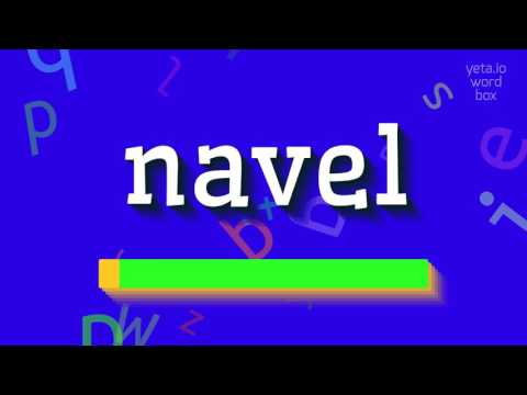 How to say "navel"! (High Quality Voices)