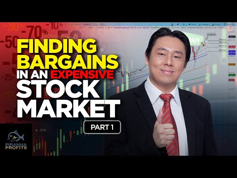 Finding Bargains in an Expensive Stock Market Part 1 of 2