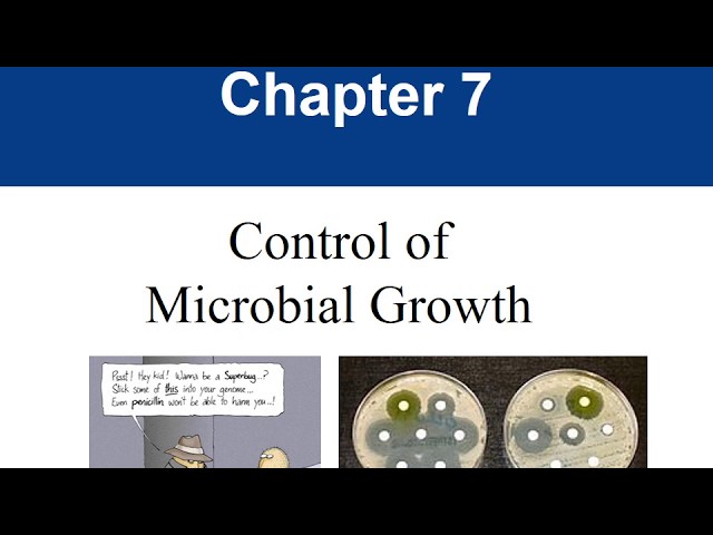 Understanding the Control of Microbial Growth: Techniques and ...
