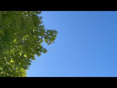 Planes near North Las Vegas Airport!