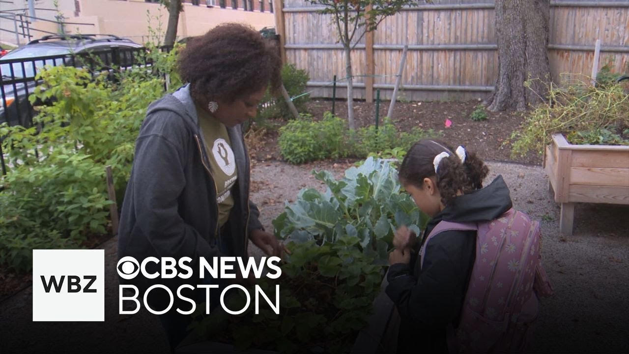 Food forests in Boston do more than just feed the community