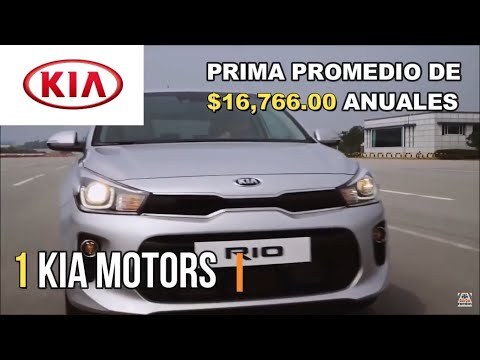 Las 10 Marcas De Autos Mas CARAS DE ASEGURAR (VEHÍCULOS CON SEGUROS COSTOSO) 2019-2020 ROBO DE AUTOS