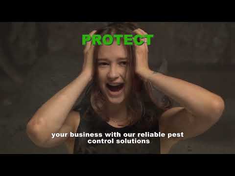 Biotech Home & Office Pest Control: Your Ultimate Solution for a Pest-Free Workspace!