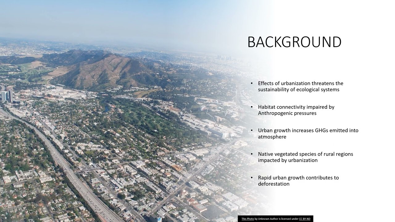 Urbanization PowerPoint