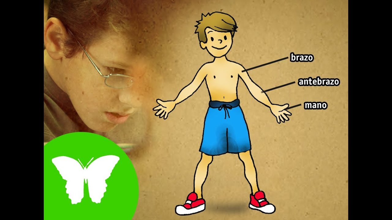 La Eduteca - El cuerpo humano