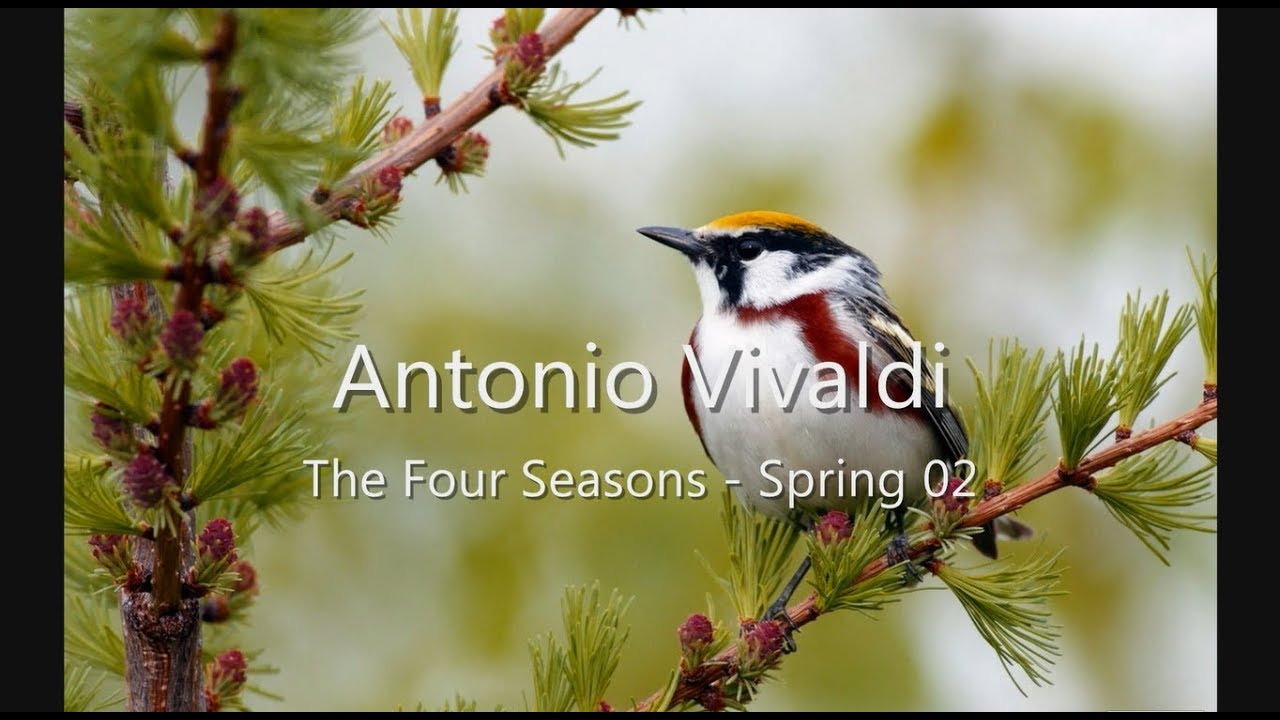Spring 02 - Antonio Vivaldi The Four Seasons - Second Movement