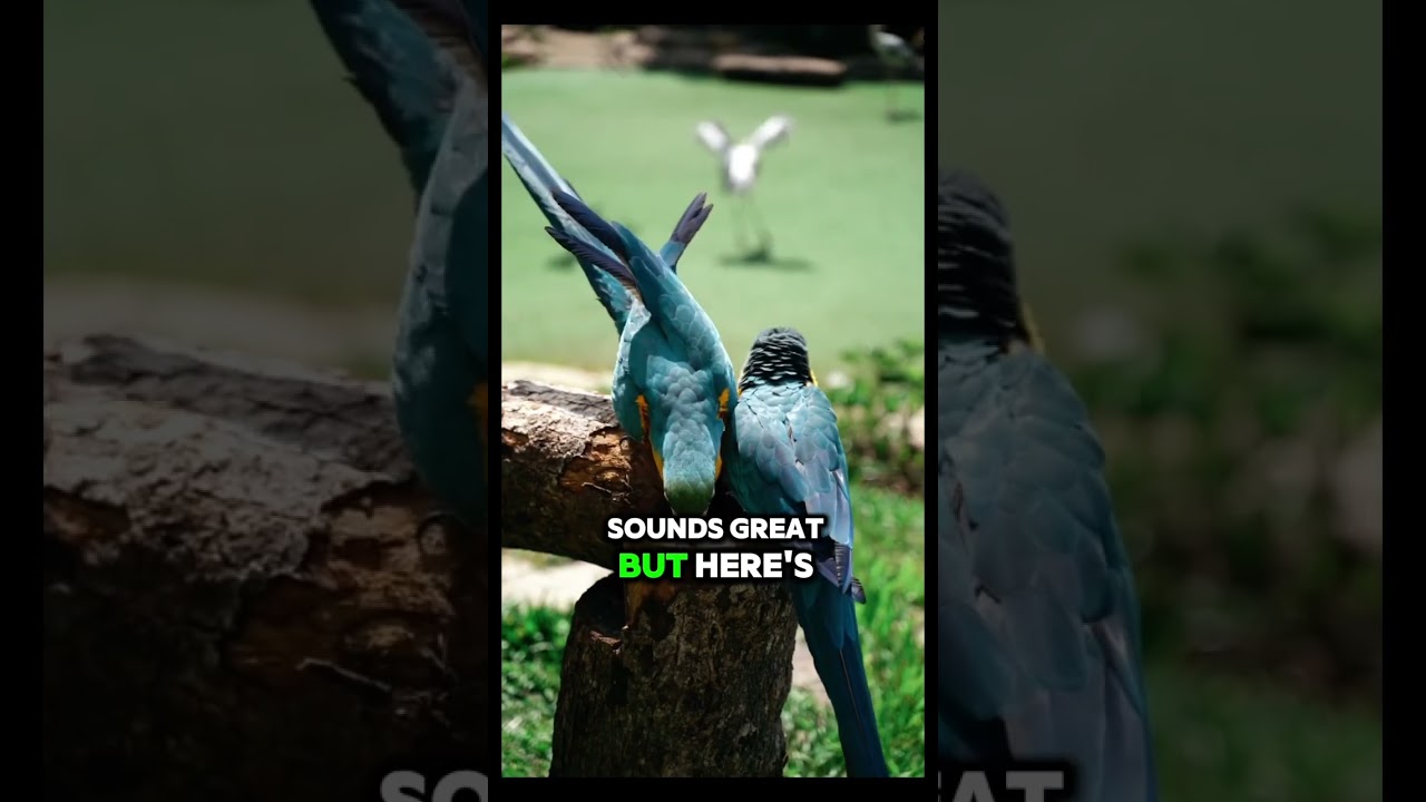 What Happens if You Clone Your Pet?