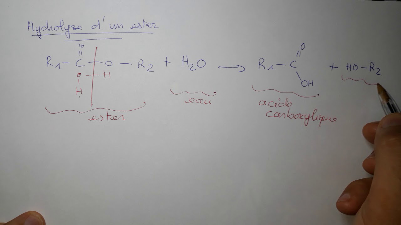chap 3 - Hydrolyse d'un ester