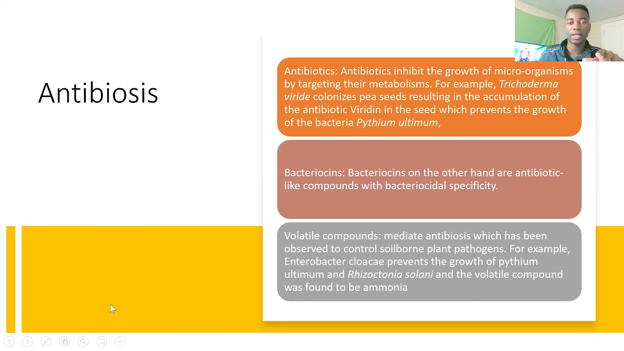 Biocontrol of plant pathogens