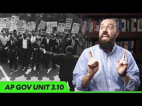 Social Movements and EQUAL Protection [AP Gov Review, Unit 3 Topic 10 (3.10)]