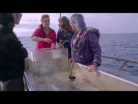 CSUN Marine Biology