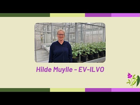 BELIS Annual Meeting 2024 interviews: Hilde Muylle, EV-ILVO