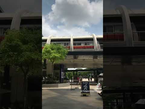 There is something about watching the train go by. 📍Paya Lebar MRT