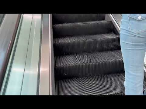 OTIS Escalators in front of Macy’s at Menlo Park Mall - Edison NJ
