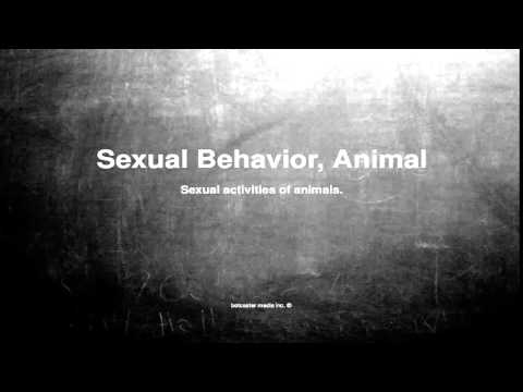 Medical vocabulary: What does Sexual Behavior, Animal mean